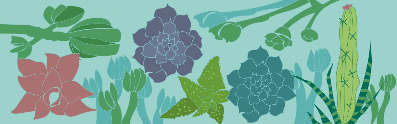 Coco Beanies café, bakery and coffee shop, Pepinieré Exotica, Mauritius